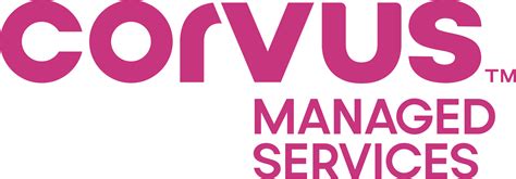 Mastering Pcap Review Essential Guide For Analysts And Engineers Insane Cyber