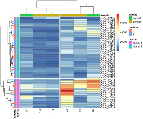 Making A Heatmap In R With The Pheatmap Package Dave Tangs Blog