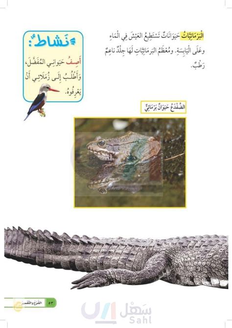 كيف تختلف الثدييات عن الطيور؟ مدارس الثقافه أنواع الحيوانات العلوم