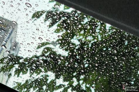 물먹는하마 옷장용 사용법과 버리기 Feat하마인형 네이버 블로그