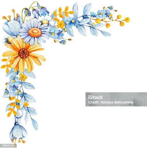 꽃 캐치 프레임 야생 꽃 카모마일 잊어 버려 블루 벨 금송화 흰색 배경에 고립 된 손으로 그린 수채화 그림 꽃 식물에 대한 스톡 벡터 아트 및 기타 이미지 Istock