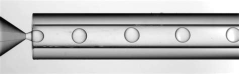 Production Of Small Size Plga Microspheres 1 10 µm Fluigent