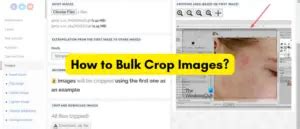 How To Bulk Crop Images In Windows