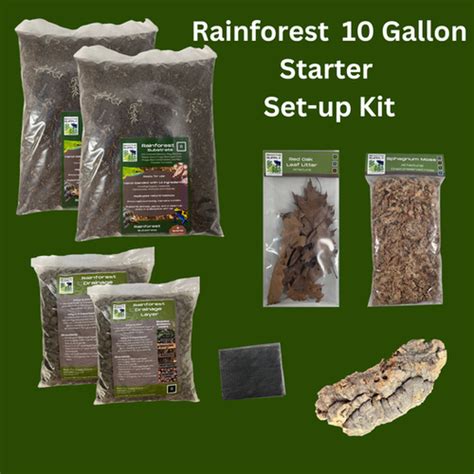 Rainforest Bioactive 10 Gallon Starter Set Up Kit Bioactive Supply
