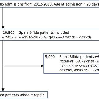 Flow Diagram Of Patient Cohort Definition Download Scientific Diagram