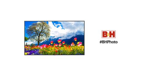 Sharp M981 98" UHD 4K HDR Commercial Monitor M981 B&H Photo Video
