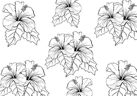 6 13 ශ්‍රේණි සඳහා චිත්‍ර කලාව 2020 10 25