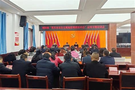 岷阳镇召开“落实食品安全属地管理责任平台”应用专题培训会 岷县 市场 系统