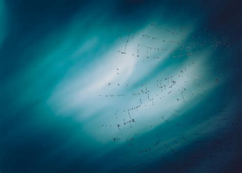 Understanding Algebra Equations Polynomials And Abstract Structures