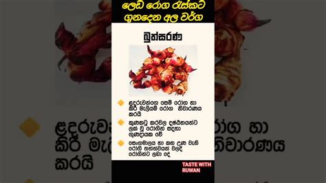 අපේ රටේ තියෙන ලෙඩ රොග රැස්කට ගුණදෙන අලවර්ග😱😱 Food Recipe Cooking Shortvideo Youtube