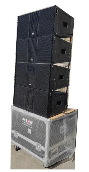 Outdoor Pro Audio Big Watt Double 12 Inch Dsp Active Line Array Speaker