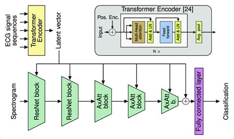 Ecg Dualnet Architecture With Spectrogram And Ecg Signal As Inputs Download Scientific