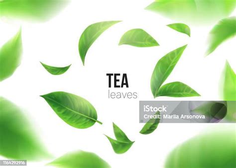 녹차 차 잎은 공중에 소용돌이 디자인 광고 차 제품 화이트 배경 3d의 포장을위한 요소 잎차에 대한 스톡 벡터 아트 및 기타 이미지 Istock