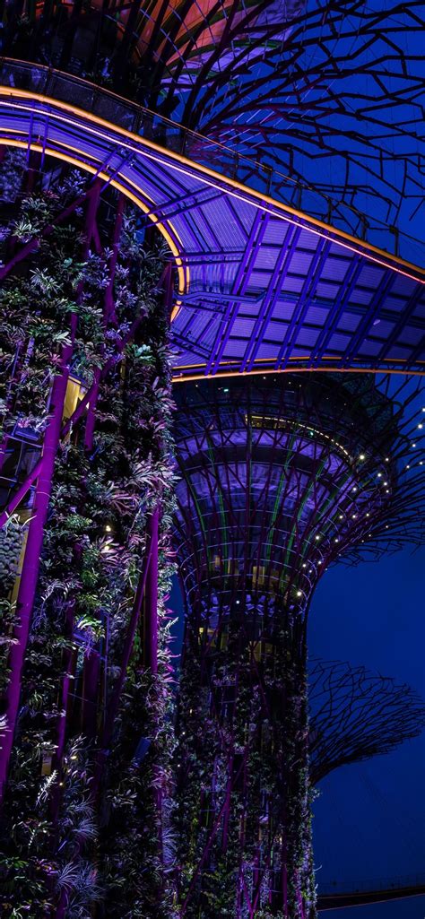 배경 화면 싱가포르 밤 정원 조명 7680x4320 Uhd 8k 그림 이미지