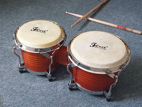 How To Play The Bongo Drums Audiolover