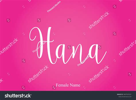 Hana Female Name Cursive Calligraphy Text Stock Vector Royalty Free 1887925231 Shutterstock