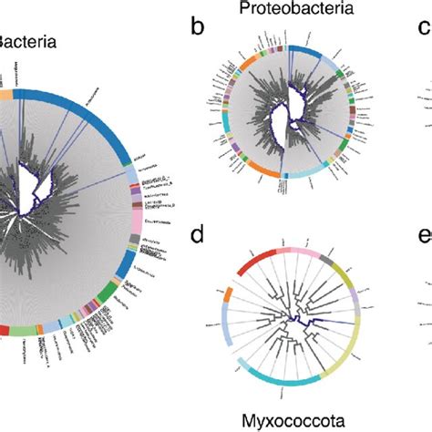 The Phylogenetic Distribution Of Ipt Proteins In Annotree A The Download Scientific Diagram