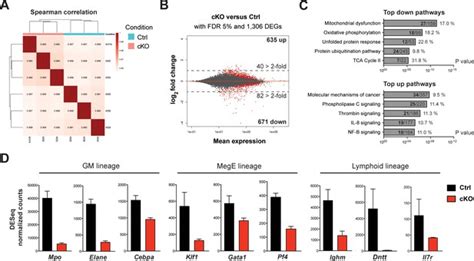 The H3k4 Methyltransferase Setd1b Is Essential For Hematopoietic Stem And Progenitor Cell