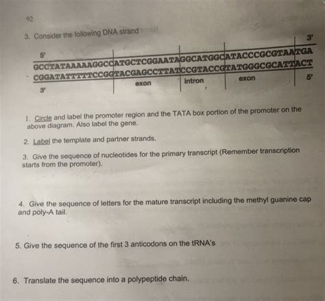 solved 92 3 consider the following dna strand 3 5
