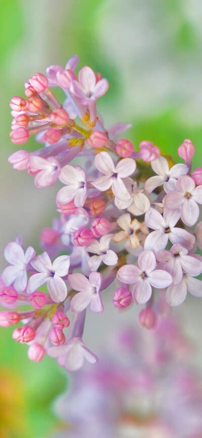 好看背景 高清图片，堆糖，美图壁纸兴趣社区