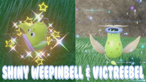 Shiny Weepinbell