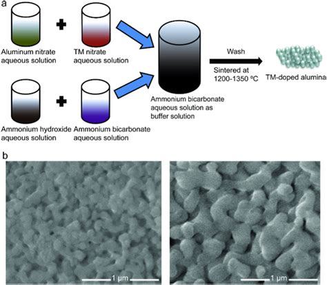 A Schematic Representation Of The Tm Doped Al2o3 Samples Preparation Download Scientific