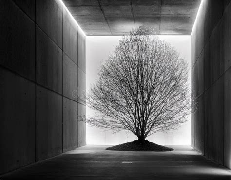 Brutalist Cube Housing A Luminous Tree Stock Image Image Of Aesthetic Design 348869965 Brutalist Cube Housing A Luminous Tree Stock Image Image Of Aesthetic Design 348869965