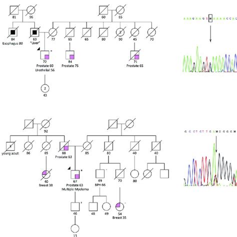 Pedigrees Of Patients Harboring Truncatingdeleterious Mutations In New