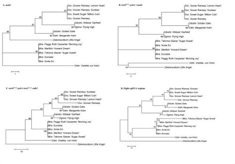 Maximum Parsimony Phylogenetic Trees Using Different Cpdna Regions Of Download Scientific