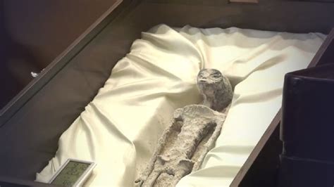 墨西哥议会举行听证会，展出疑似“外星生物”遗骸凤凰网视频凤凰网
