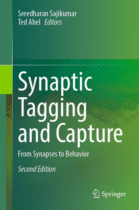 Synaptic Tagging And Capture From Synapses To Behavior 9783031548635 Medicine And Health