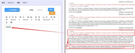 Vue使用富文本粘贴图片和html访问图片资源的403问题 Referrer 走看看
