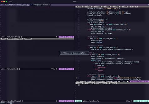 Python Why Is My Vimspector Debugging Session Not Initializing