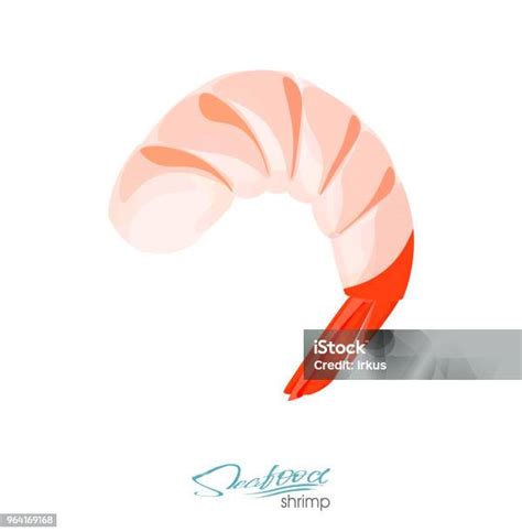 새우 벡터 만화 스타일 흰색 배경에 고립 된 그림 해산물 제품 디자인입니다 물에 떠 있는 생물입니다 수 중 세계의 주민 야생