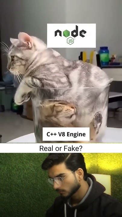 Real Or Fake 🤣 Meme Memes Nodejs Js Javascript Programming