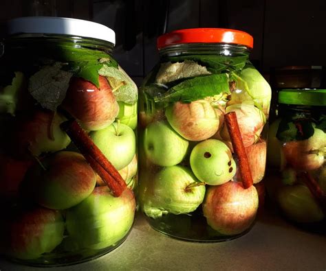Lacto Fermented Apples With Cinnamon Sticks Fermentation