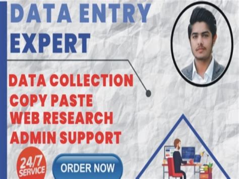 Excel Data Entry Work Web Research Copy Paste Wordpress Data Entry