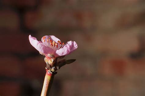 Aperture Priority Shutter Priority And Manual Mode PictureCorrect