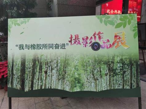 橡胶研究所 综合新闻 橡胶所工会举办“我与橡胶所同奋进”主题摄影展