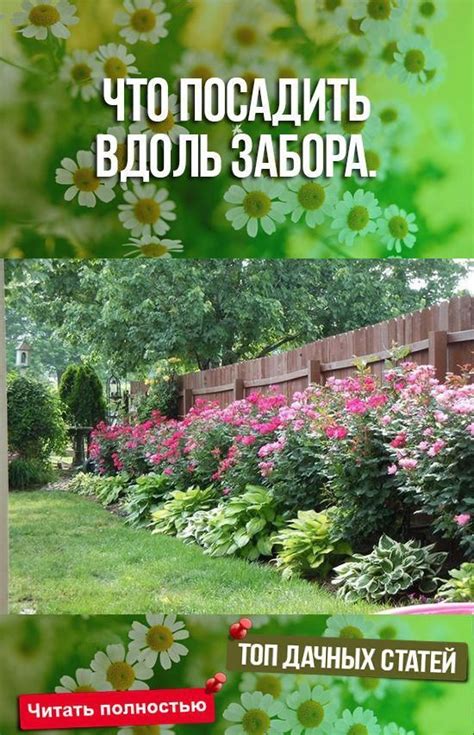 Best 9 Tips And Techniques For Flower Gardens Flowergardens Композиции цветников Растения Сад