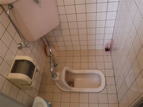 ～和式トイレから洋式トイレへ～