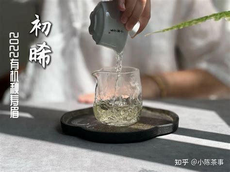 隔夜的白茶舍不得扔到底能不能继续喝拿去煮茶行吗 知乎
