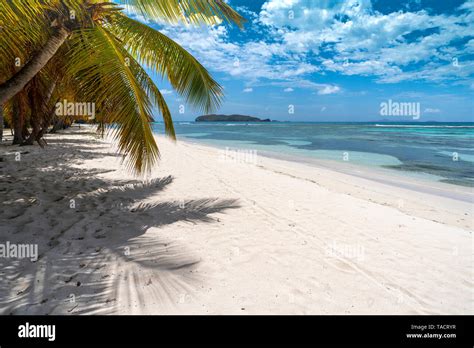 Mustique Island Is An Exclusive Paradise Getaway And Caribbean Destination With A Beautiful