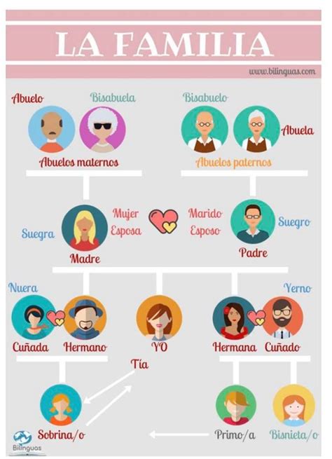 Carte Mentale Vocabulaire Famille En Espagnol Lsbgb