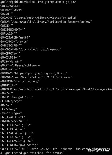 Golang 零基础入门篇 知乎