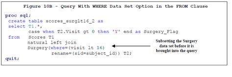 Using Data Set Options In Proc Sql Sas Training Institute Learn Sas Courses And Certification