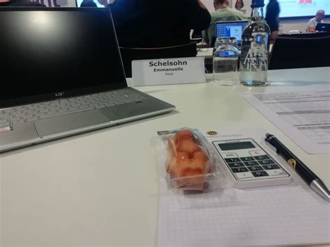 Rahel Wallimann Phd On Linkedin Together With Aljoscha Goetschi I Had The Opportunity To