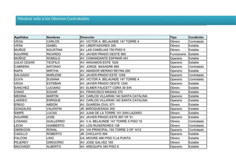 FILTRO DE DATOS Domini UDocz