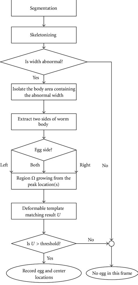 Flowchart Of The Egg Detection Process Download Scientific Diagram