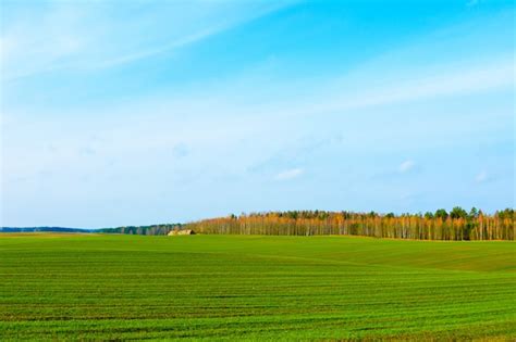 Premium Photo Spring Field